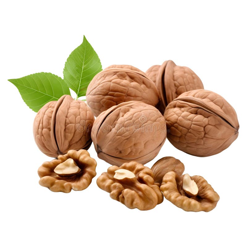 3D Rendering of a Walnuts with Leaves on Transparent Background - Ai ...