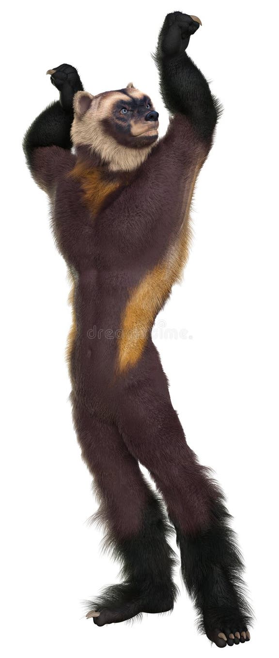 3D Rendering Wolverine Man on White Stock Illustration - Illustration ...