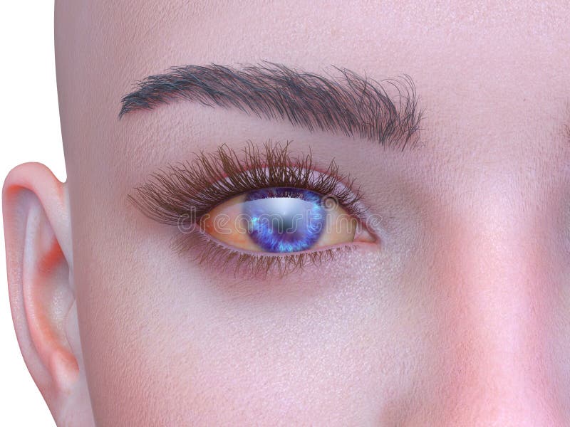 3D Rendering of Woman`s Eye Stock Illustration - Illustration of ...