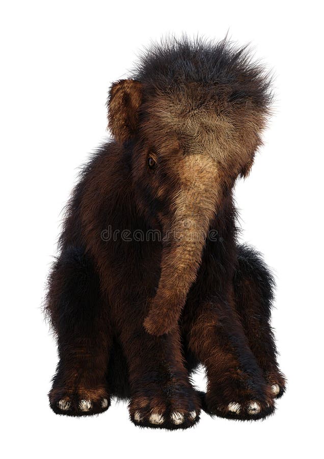 3D Rendering Woolly Mammoth Baby on White Stock Illustration ...