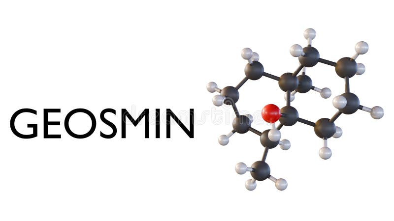 Word "GEOSMIN" and Chemical Structure of Geosmin Molecules Stock ...
