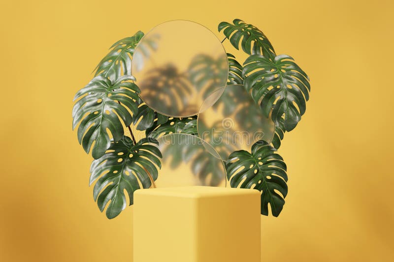 3D Rendering Yellow Platform Podium with Monstera Plant Product ...