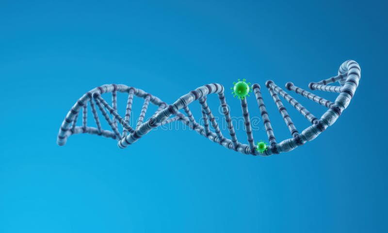 3D Representation of DNA Helix Intertwined with Virus Particles ...