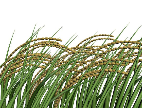 Animated Rice Plants Stock Illustrations – 9 Animated Rice Plants Stock ...
