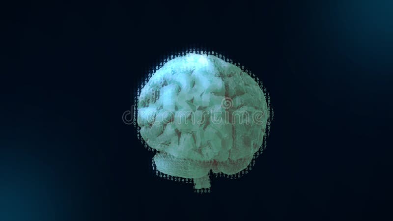 3D Rotating Brain Model with Binar Cod. Motion Graphic of Digital Brain ...