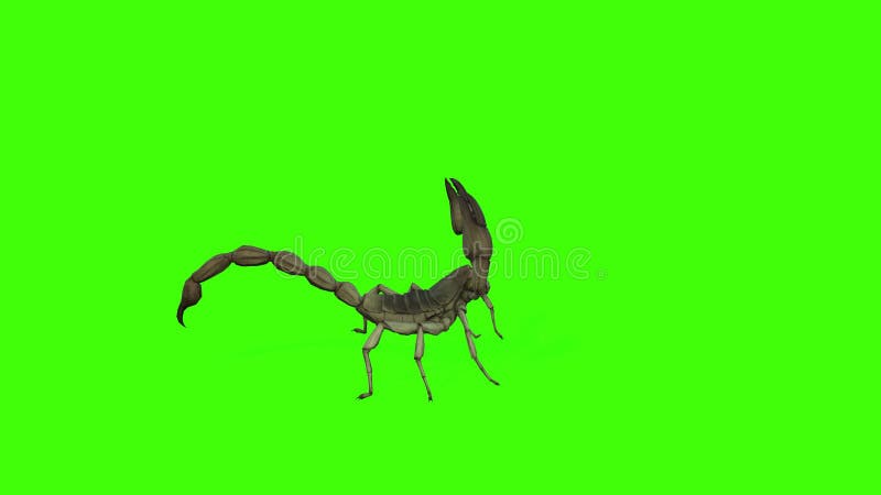 3D Scorpion Very Angry Mood Around Attacking Loop Animation Green ...