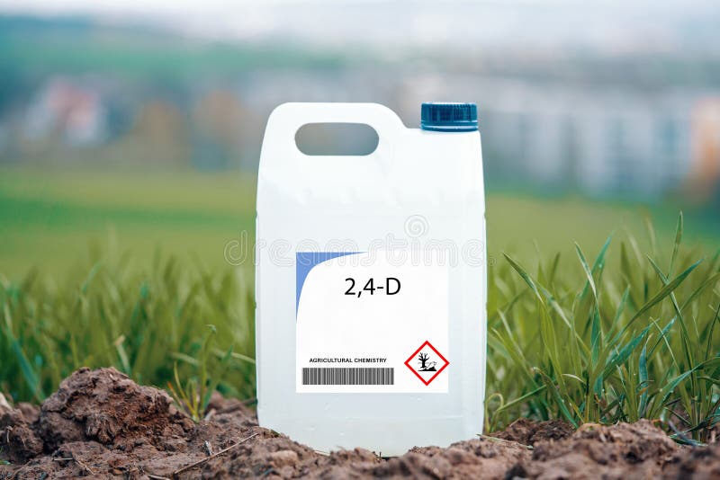 2,4-D Selective Herbicide Used on Broadleaf Weeds Stock Photo - Image ...