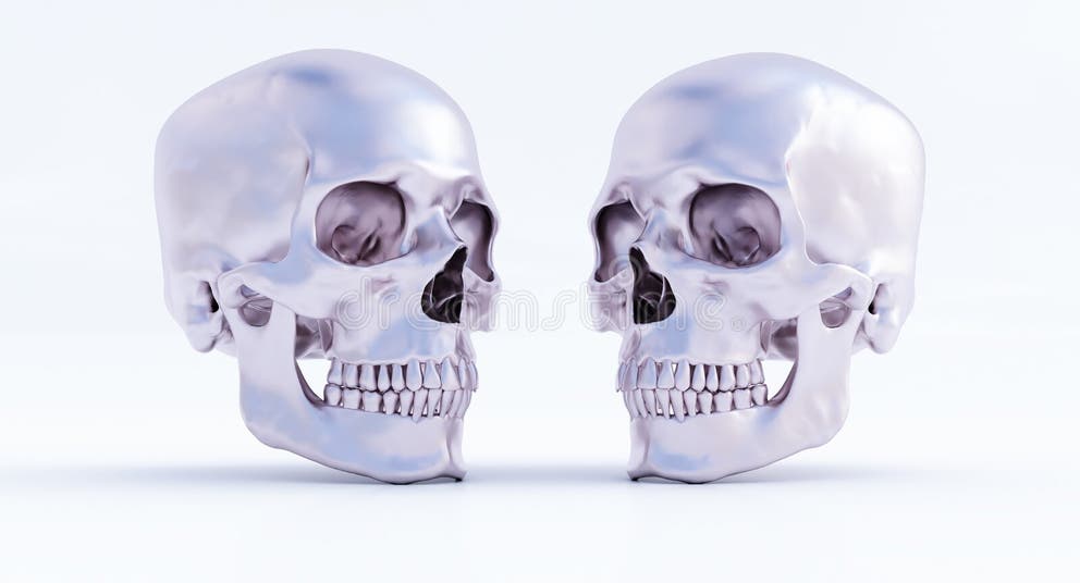 3D Set of Human Skulls Isolated on Blackbackground, 3d Render. Stock ...