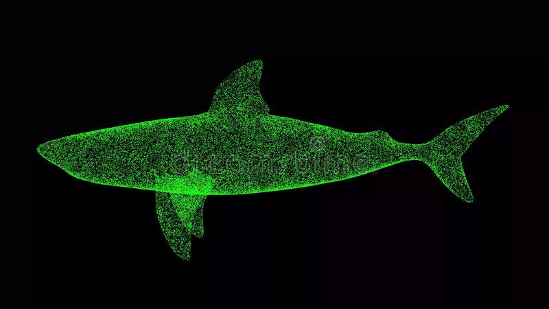 3D Shark on Black Background. Object Made of Shimmering Particles. Wild ...
