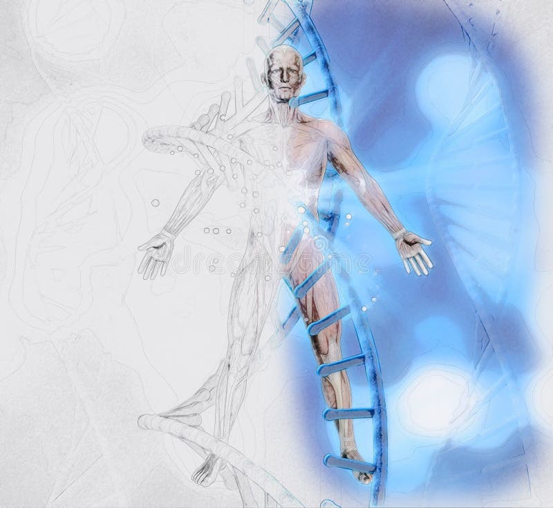 3D Sketch of Male Figure with DNA Strand Stock Illustration ...