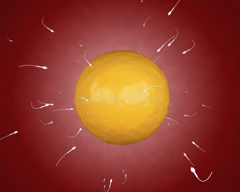 3D Spermatozoons, Das Zum Ovulum Geht Stock Abbildung - Illustration ...