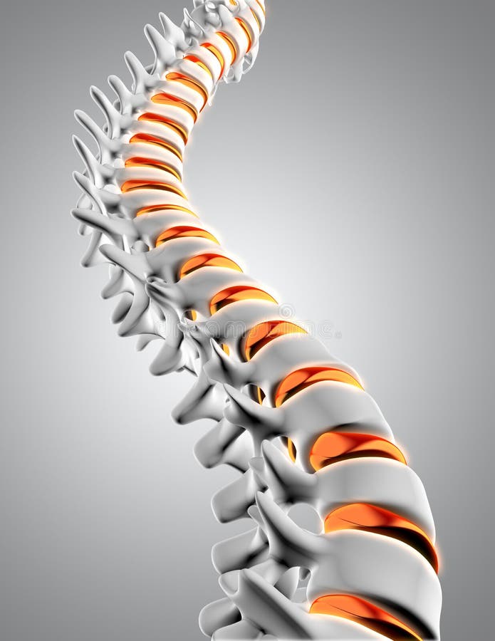 3D Spine with Discs Highlighted Stock Illustration - Illustration of ...