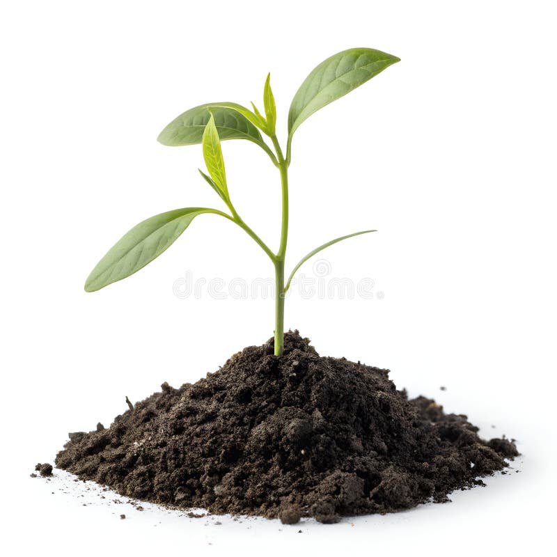 3D Sprouting Plant from Soil Stock Illustration - Illustration of ...