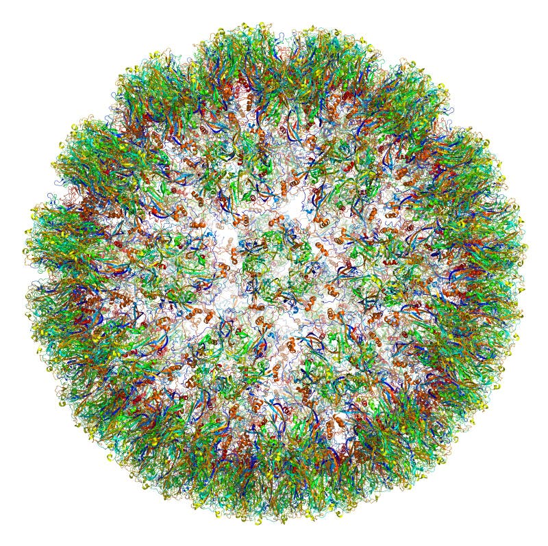 3D Structure of Human Papillomavirus Type 16, Associated with Cancers ...