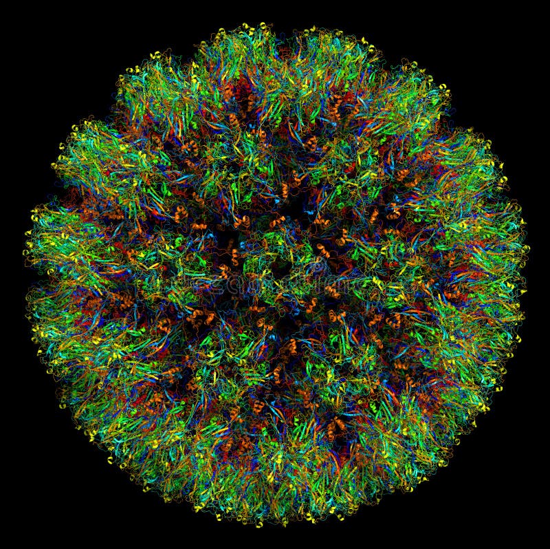 3D Structure of Human Papillomavirus Type 16, Associated with Cancers ...