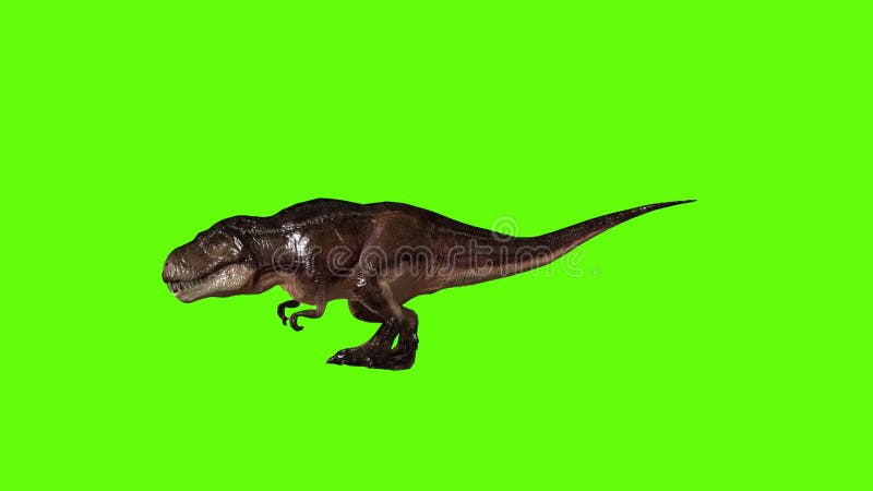 3D T-rex Dinosaur Bite Step Back Forward Green Screen Animation Stock ...
