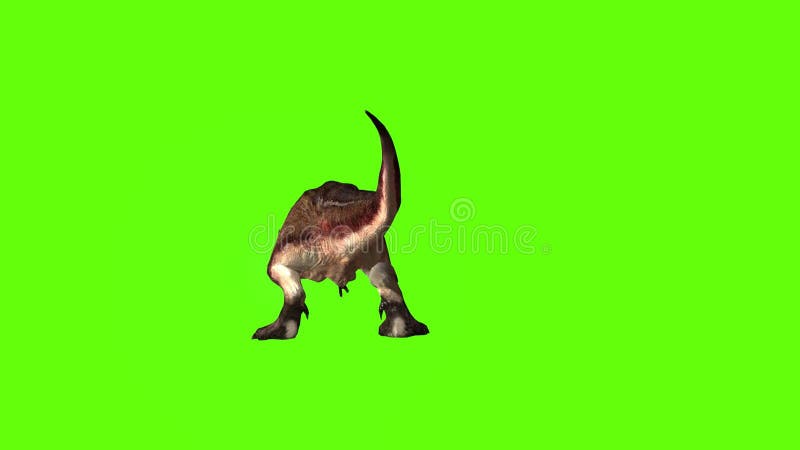 Dinosaur Green Screen Stock Footage & Videos - 870 Stock Videos