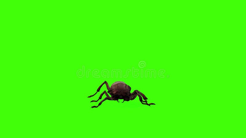 4k Isoptera Worm is Crawling with Realistic Animation on Green Screen ...