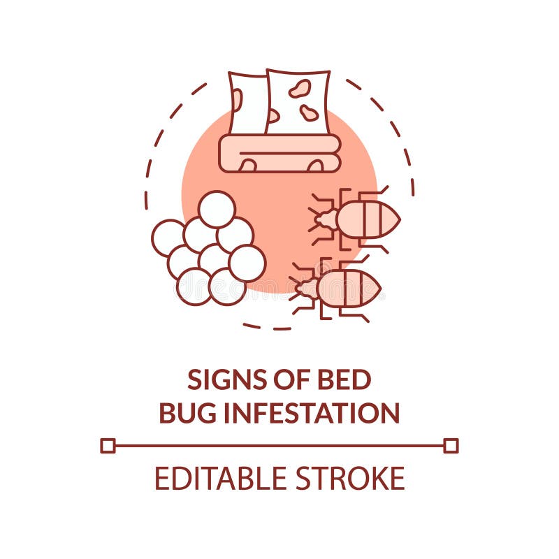 2D Thin Line Icon Signs of Bed Bug Infestation Concept Stock ...