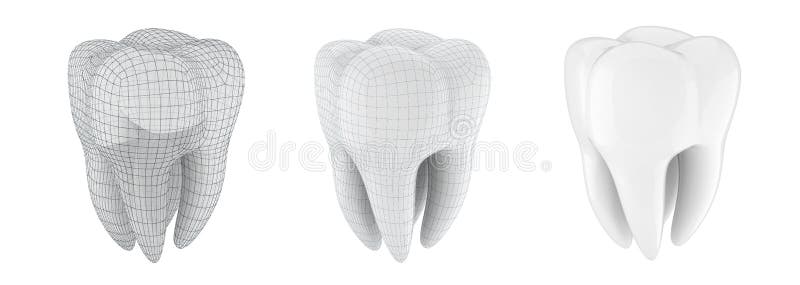 Wisdom Tooth stock image. Image of hygiene, background - 4244507