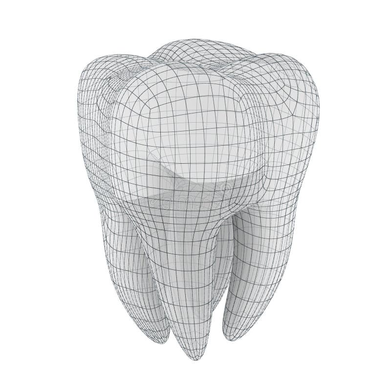 3d tooth stock illustration. Illustration of carious - 11023855