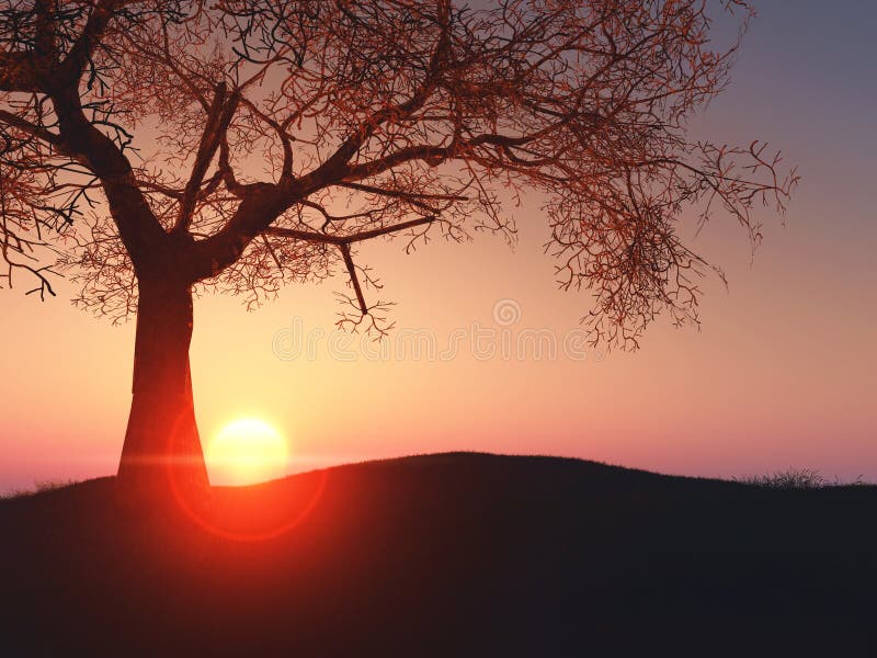 3D Tree Landscape Against a Sunset Sky Stock Illustration ...