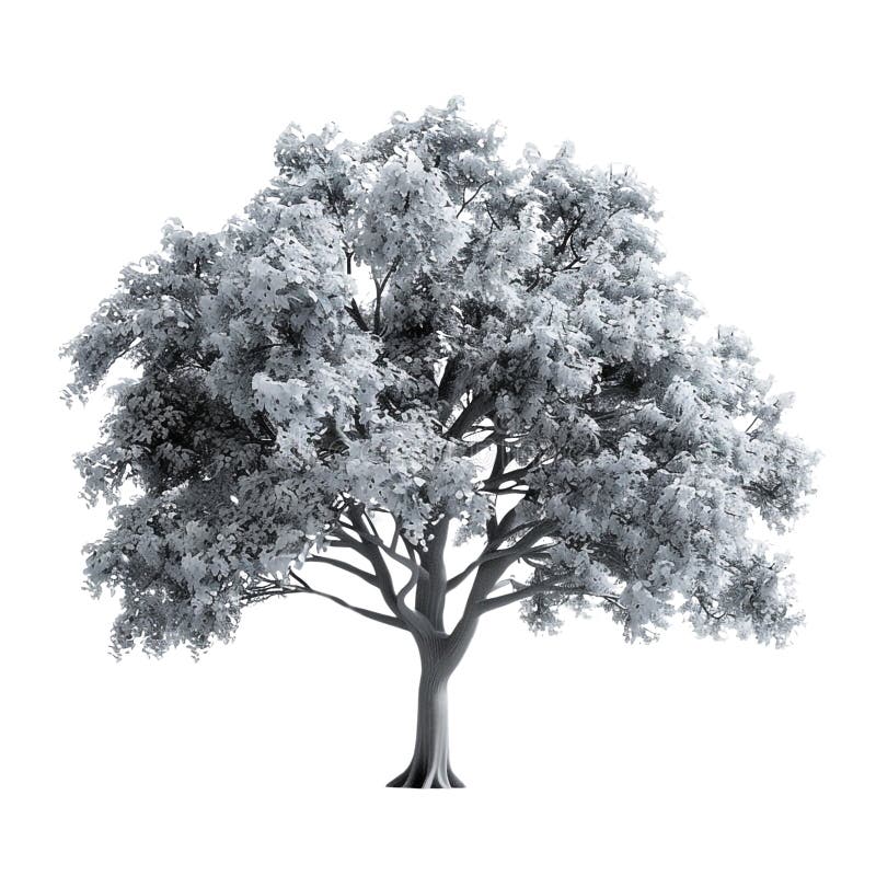 3d Tree on White Background Render Ultra Realistic, Generative AI Stock ...
