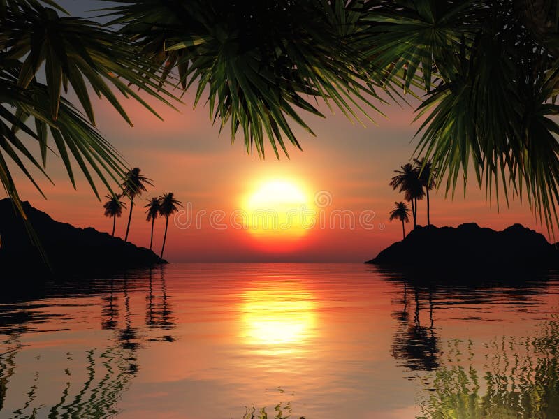 3D tropical landscape stock illustration. Illustration of sunset - 89240949