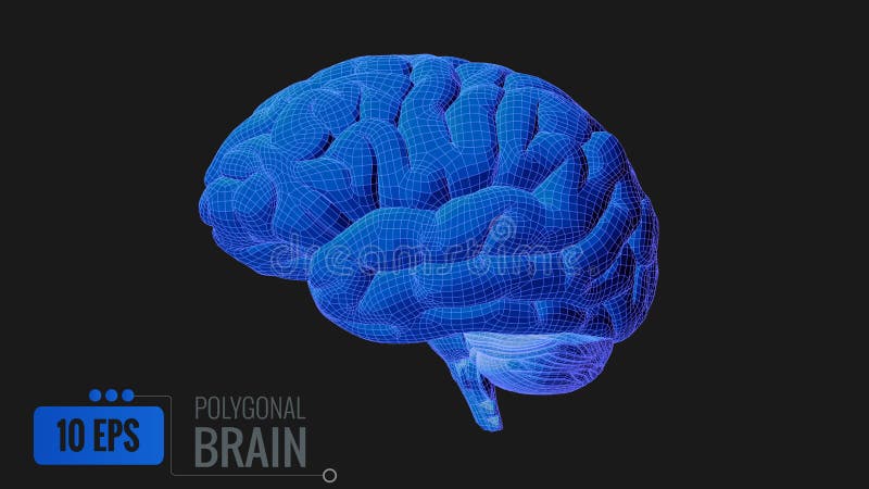 Blue Wireframe Brain on Dark BG Stock Vector - Illustration of icon ...