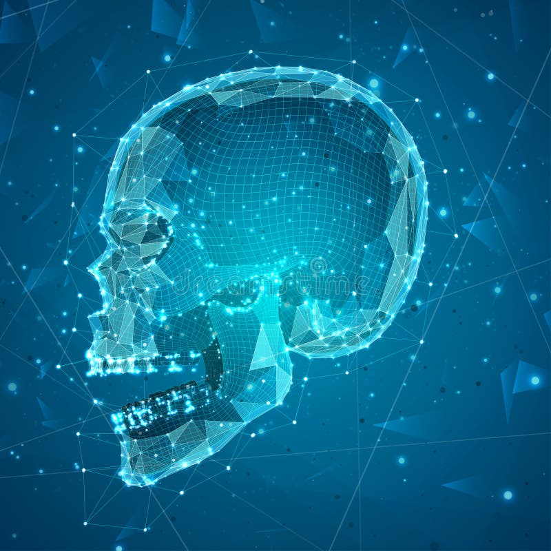 3d Vector Human Skull of All Segments Explodes Stock Vector ...