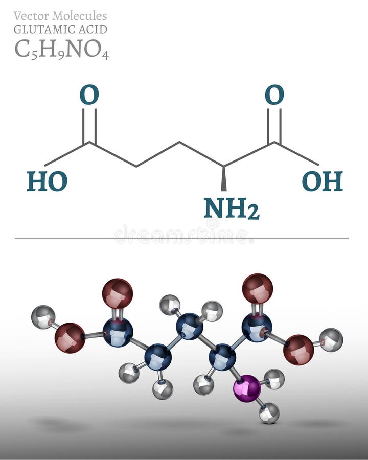 3D Vector Illustration of Glutamic Acid Molecule Structure. Stock ...