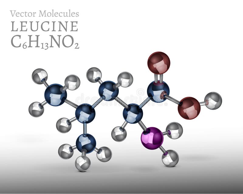 3D Vector Illustration of Leucine Molecule Structure. Stock ...