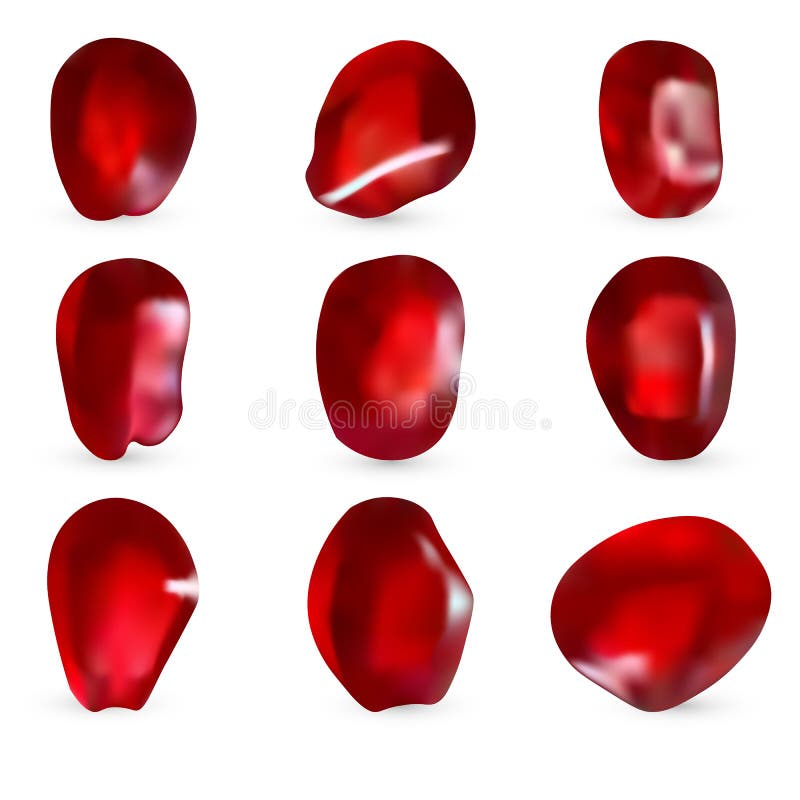 3D Vector Realistic Collection Pomegranate Seeds Close-up Isolated on ...