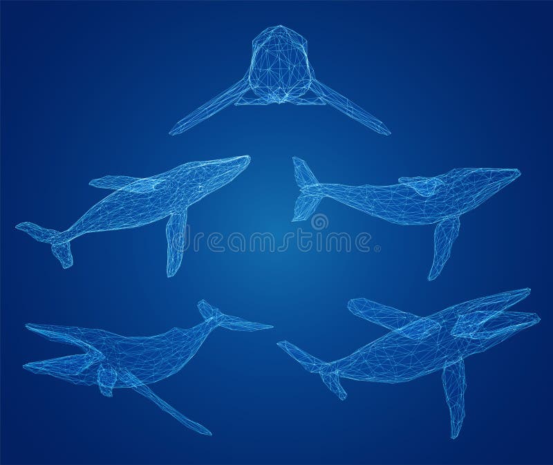 3d Vector Set. Ocean Protection Stock Vector - Illustration of animal ...