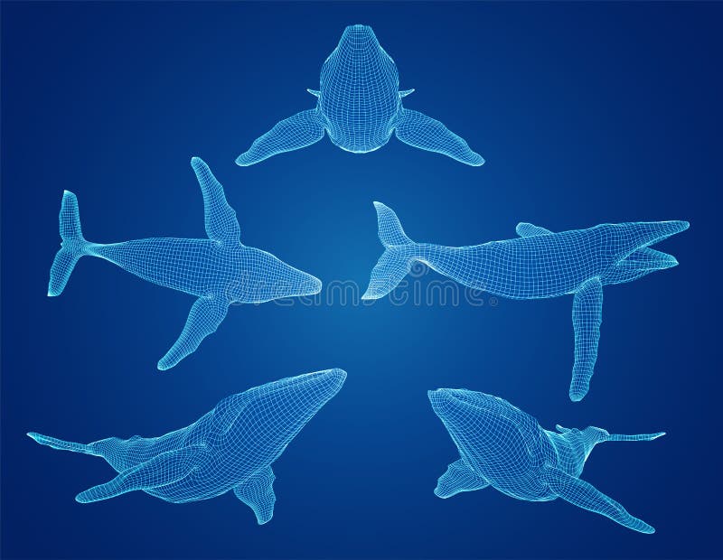 3d Vector Set. Ocean Protection Stock Vector - Illustration of wave ...