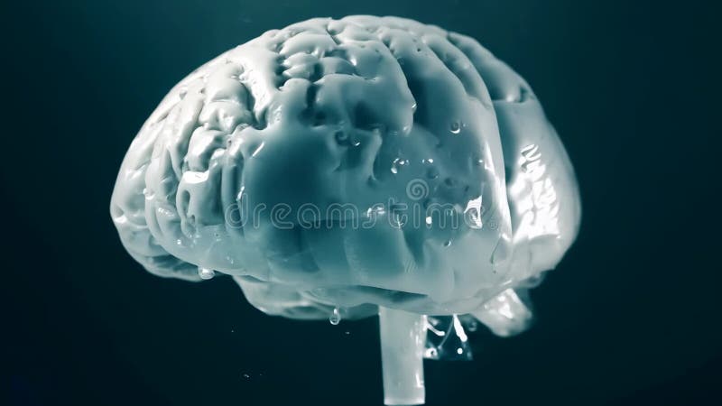 3D Visualization of a Brain Wrapped in PLA, Showcasing Intricate ...