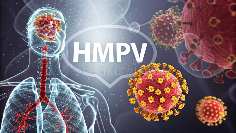 3D Visualization of Human Body with HMPV Virus Stock Illustration ...