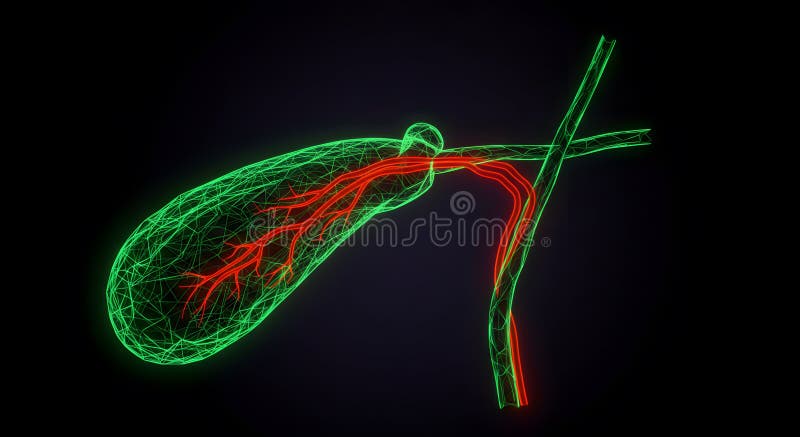 3D Visualization of Pancreas Anatomy with Blood Vessels and Ducts ...