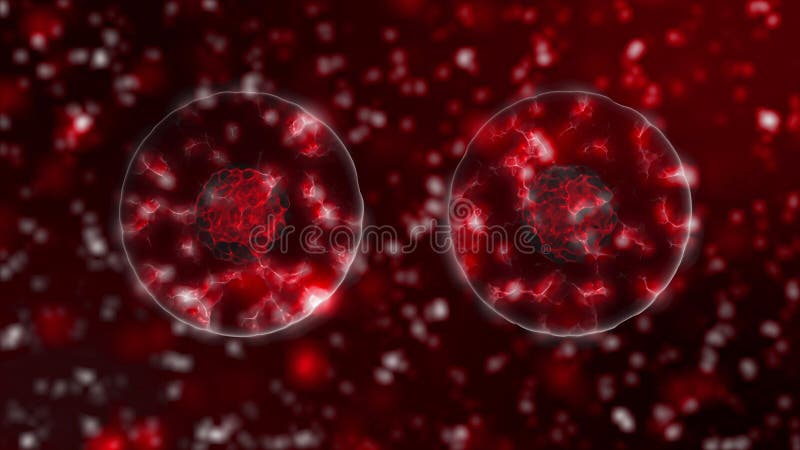 3D Visualization of the Virus. Pathogens, Information on the New 2019 ...