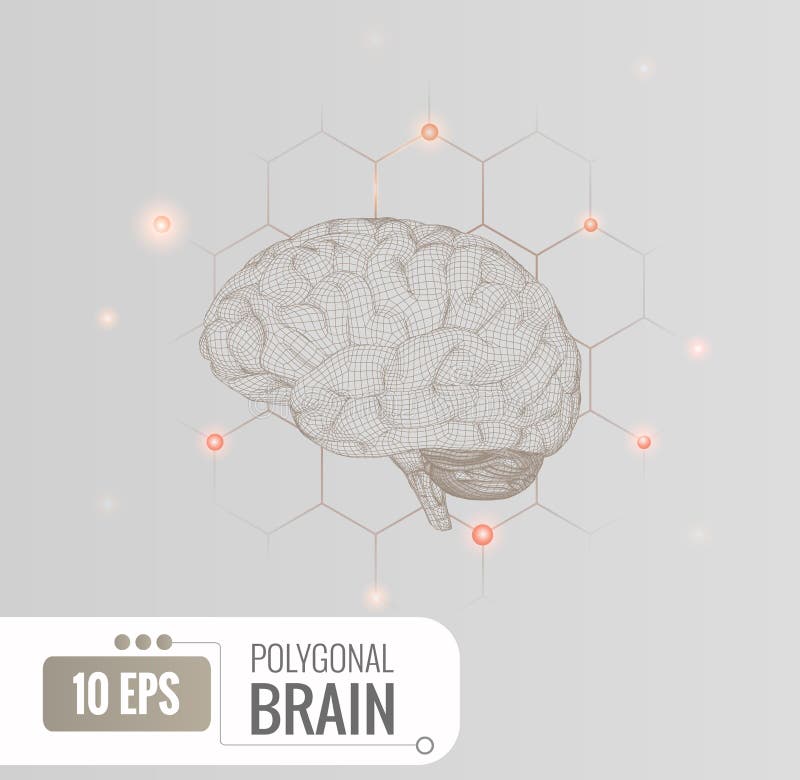 Wireframe Brain Illustration with Connection Dots BG Stock Vector ...