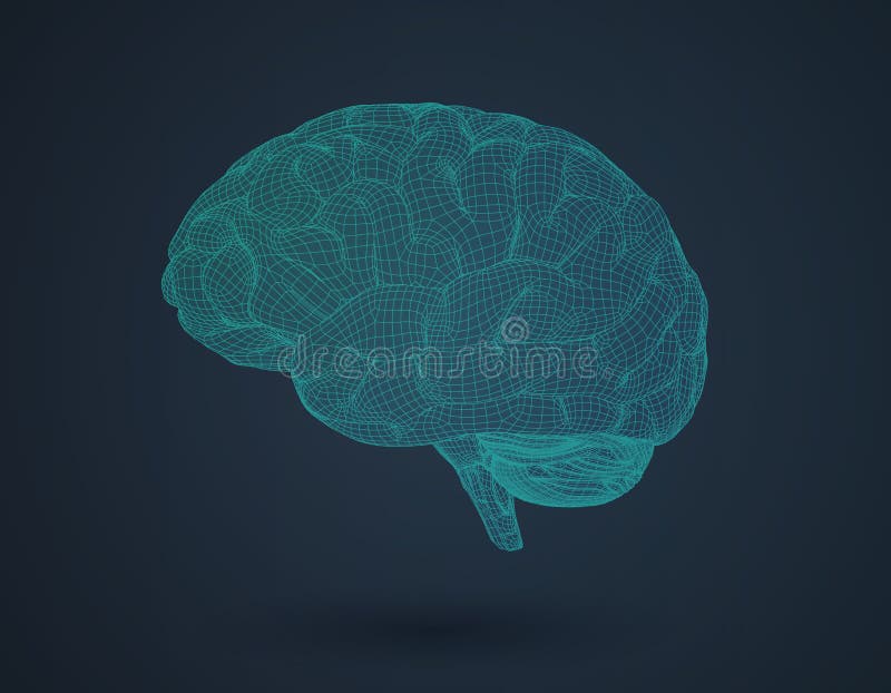 3D Wireframe Brain Illustration On Dark Blue Graphic Layout Stock ...