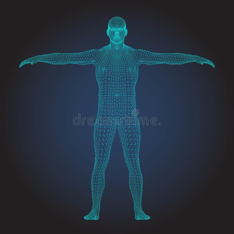 3D wireframe human body stock vector. Illustration of futuristic ...