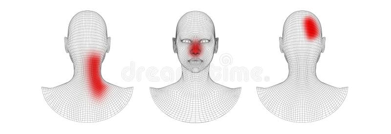 3D Wireframe Human Head Model with Pain Points Stock Vector ...