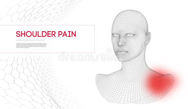 3D Wireframe Model Indicating Shoulder Pain Stock Vector - Illustration ...