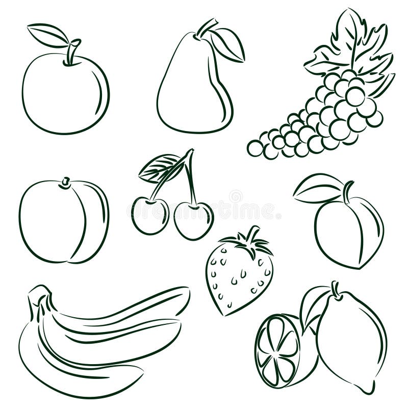 Da fruto la colección ilustración del vector. Ilustración de garabato ...