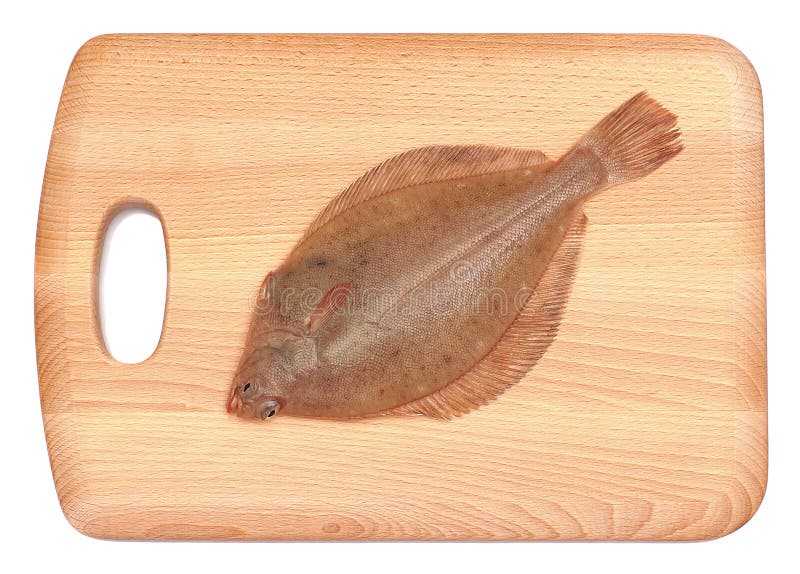 Dab Fish stock photo. Image of food, aquatic, ocean, fresh - 27131578