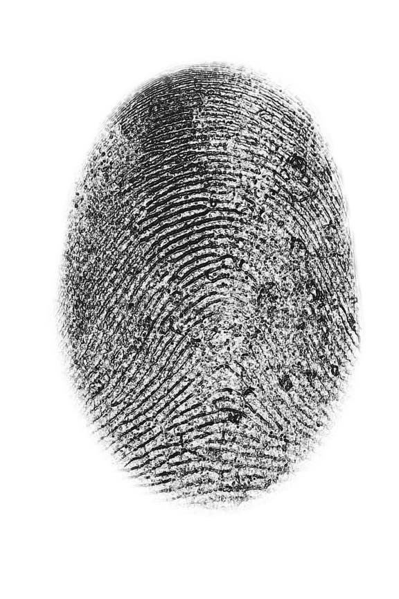 Dactyloscopy fingerprint stock photo. Image of conceptual - 2493690