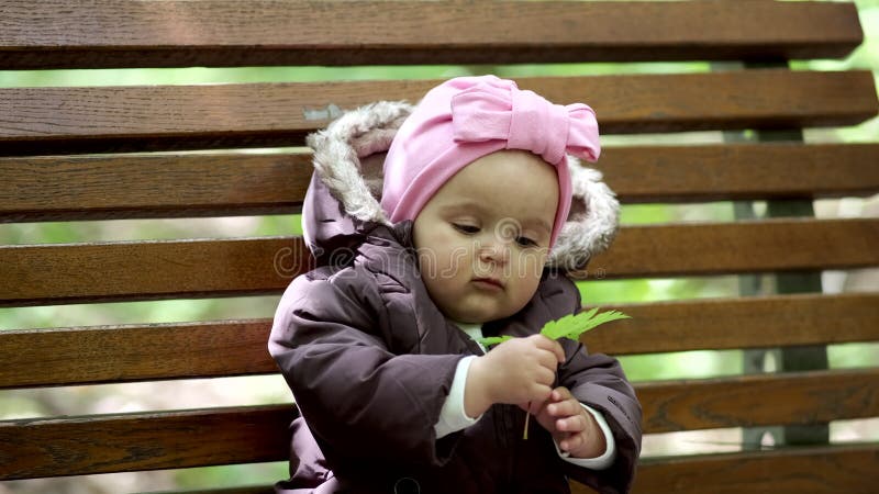 Dad Shows the Child a Green Leaf of a Tree. Stock Footage - Video of ...