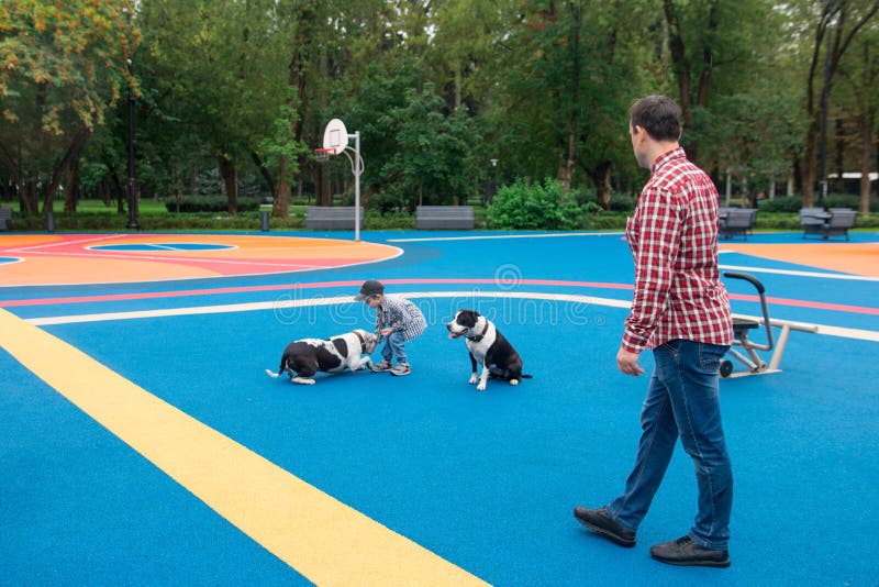 Dad and Son are Engaged in Dog Training. Stock Photo - Image of ...