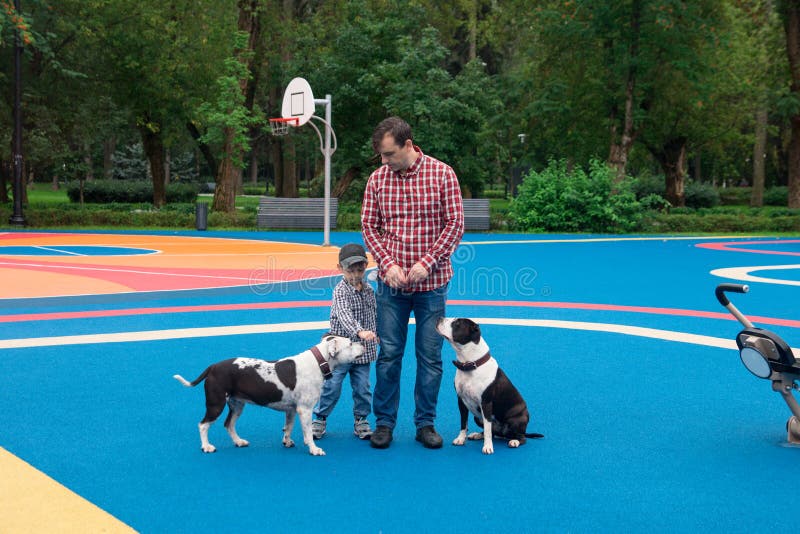 Dad and Son are Engaged in Dog Training. Stock Photo - Image of owner ...